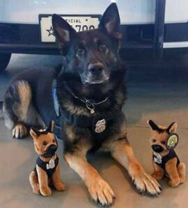 A Real Look at being a Law Enforcement K-9 Handler